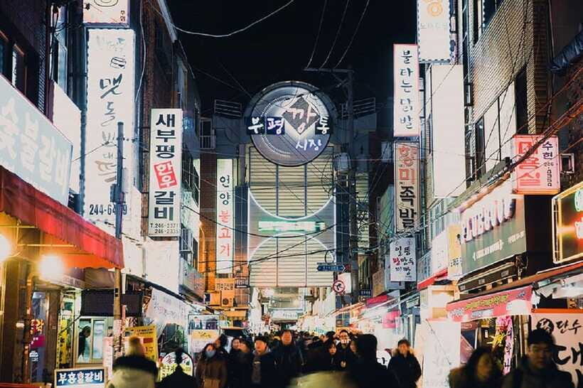 Busan Private Night Tour-City Lights & Food (Up to 7 Guests) - Practical Tips for Travelers