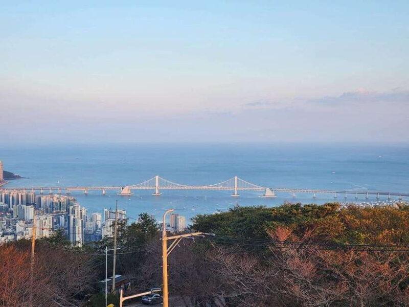 Busan private tour : K-pop dance class + tour - Who Will Love This Experience?