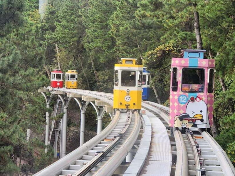 Busan private tour - Price and Value Analysis