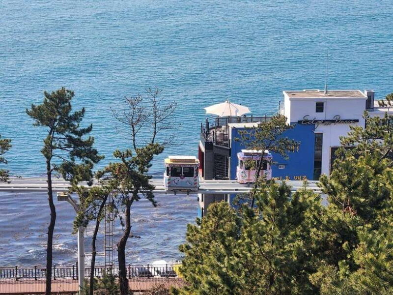 Busan private tour - Authentic Experiences and Traveler Feedback