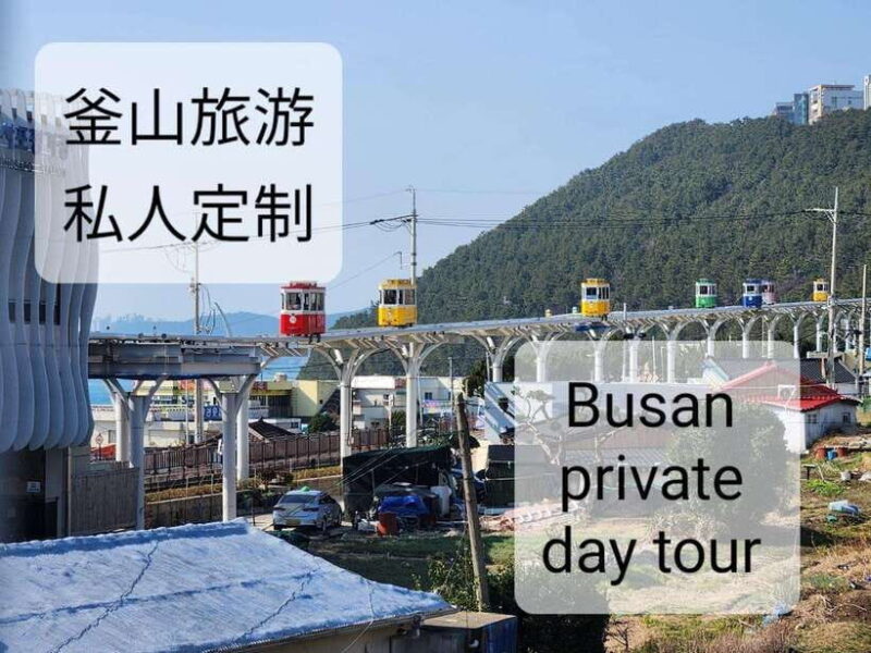 Busan private tour - Who Will This Tour Work For?