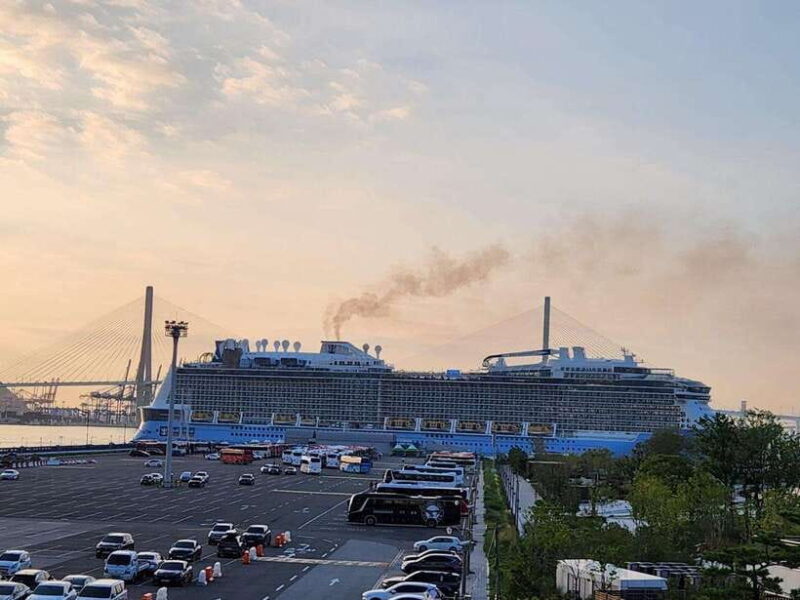 Busan private tour - Final Thoughts: Is This Tour Worth It?