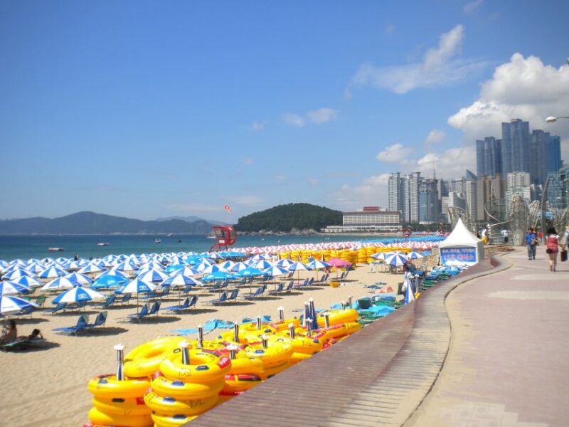 Busan Private Tour with a Local - Key Points