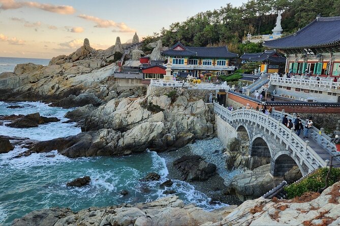 Busan Private Tour with an official tour guide - Analyzing the Value