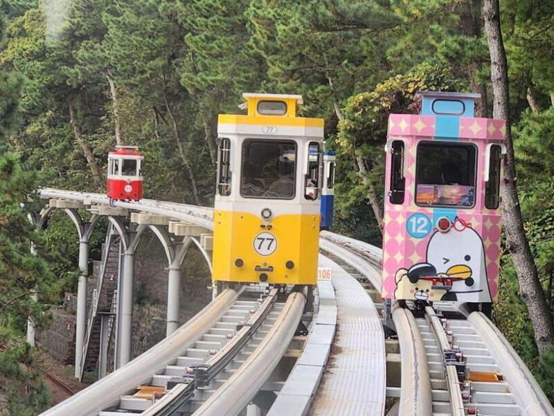 Busan private tour with an official tour guide - What Makes This Tour Stand Out?