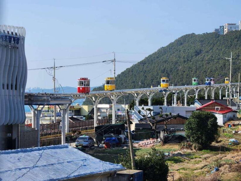 Busan private tour with an official tour guide - Price and Value