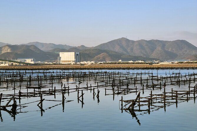 Busan Seafood Tour : Oyster village Tour with Oyster cuisines - Who Should Consider This Tour?