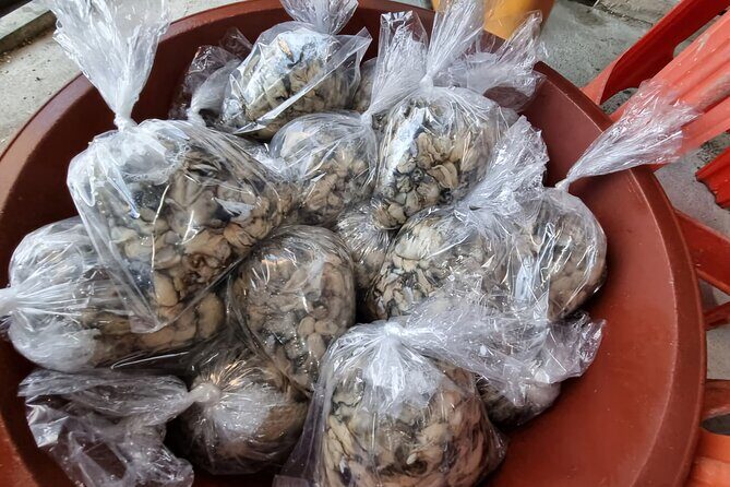 Busan Seafood Tour : Oyster village Tour with Oyster cuisines - Final Thoughts