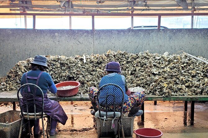 Busan Seafood Tour : Oyster village Tour with Oyster cuisines - FAQ