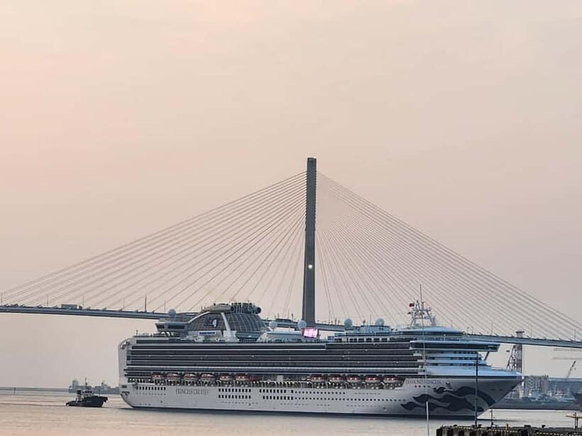 Busan shared Tour for Cruise ship passengers (Max 15 guests) - What to Expect and Practical Tips