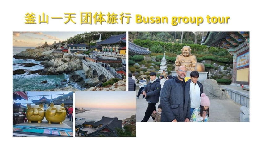 Busan shared Tour for Cruise Ship Passengers Max 15 guests - Final Thoughts: Is This Tour for You?