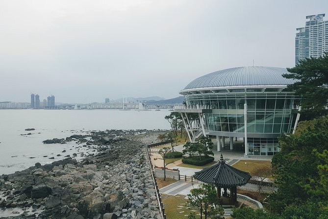 Busan Shore Excursion; Private City Tour - Who Will Love This Tour