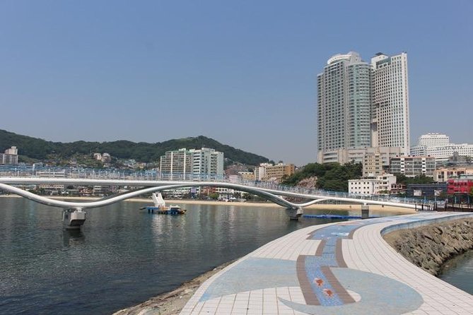 Busan Shore Excursion Tour with Gamcheon Culture Village - Final Thoughts