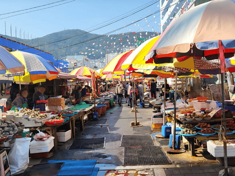 Busan: Sightseeing Tour for Cruise Passengers - A Practical Guide to the Busan Cruise Passenger Tour