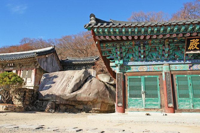 Busan Sightseeing Tour Including Gamcheon Culture Village and Beomeosa Temple - Final Thoughts: Is This Tour Right for You?