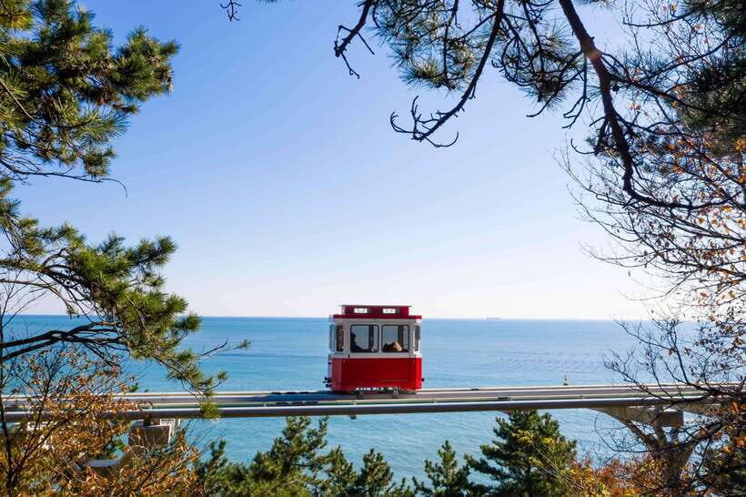 Busan: Sunset Haeundae Sky Capsule & Busan Night Views Tour - FAQ
