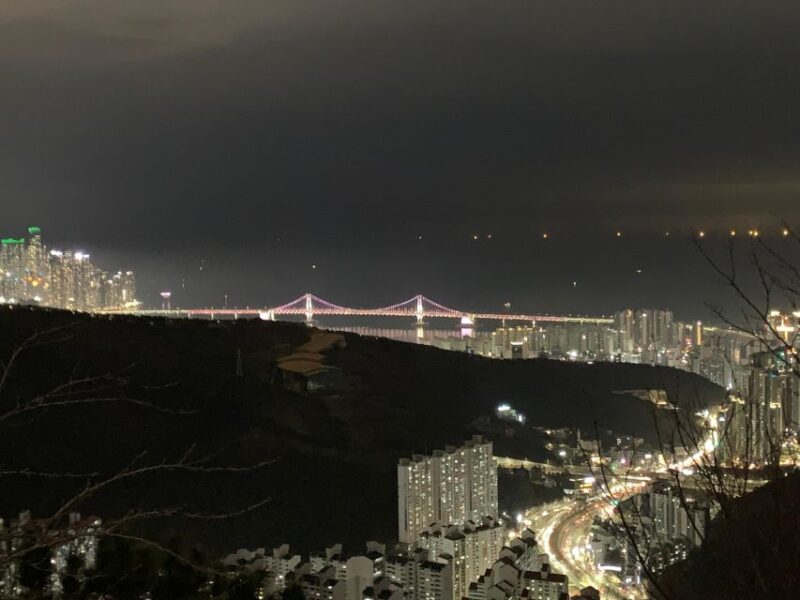 Busan: The best night view small group tour - What Makes This Tour Stand Out?