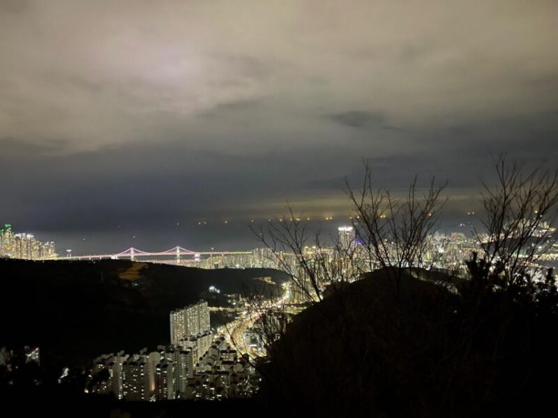 Busan: The best night view small group tour - FAQs