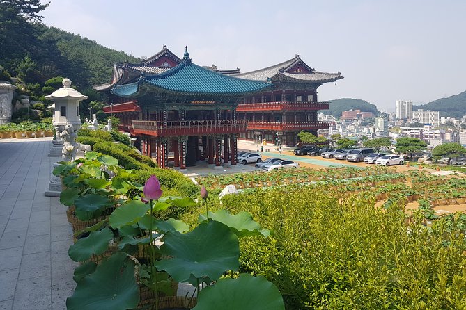 Busan Tour with Gamcheon Culture Village - What to Keep in Mind