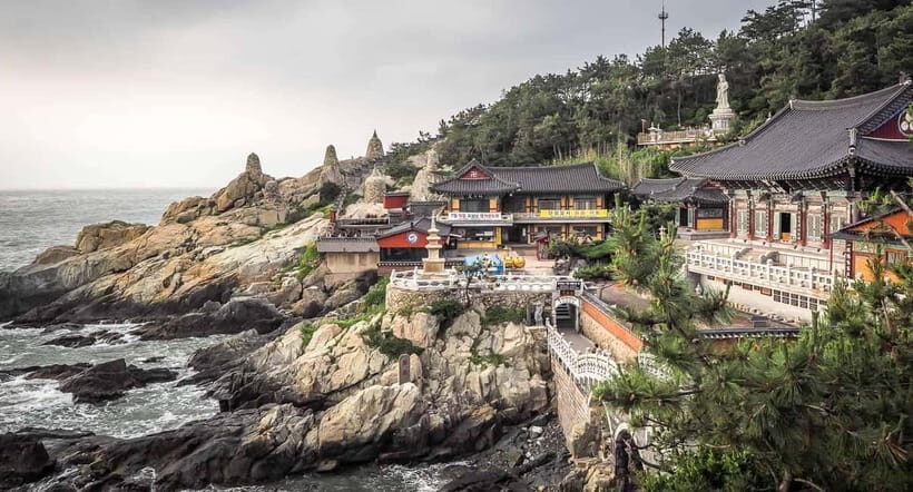 Busan Tour with Gamcheon Village & haedong yonggungsa temple - Key Points