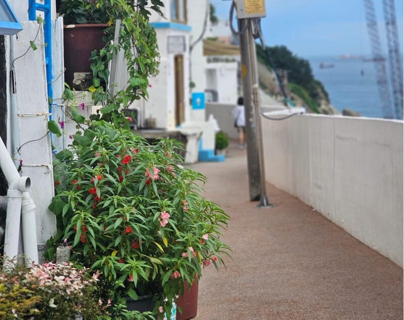 Busan Tour:Taejongdae + Huinnyeoul + Gamcheon +SongdoSkywalk - Who Will Love This Tour?