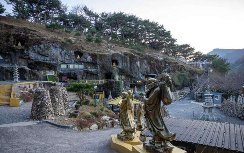 Busan : Ulsan Full-Day Private Tour with a Licensed Guide - The Practicalities: What’s Included and What to Consider