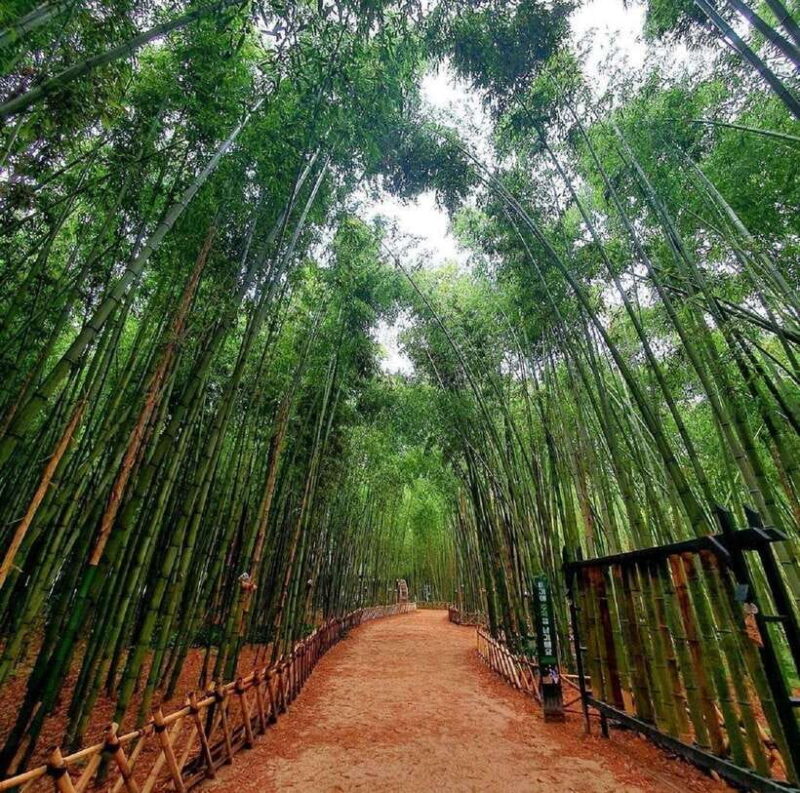 Busan : Ulsan Full-Day Private Tour with a Licensed Guide - The Sum Up