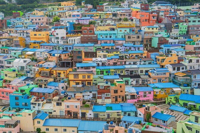 Busan walking tour (Small group, Sweet pancake included) - Who Will Love This Tour?