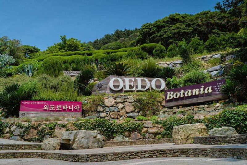 Busan:A2.Hidden Gem Geoje & Oedo Botania Island - The Itinerary: A Deep Dive