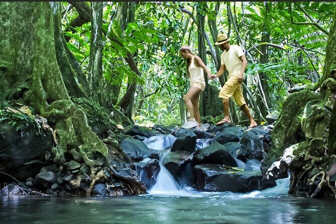 Bush Hiking to explore Wild Plants & Fresh Fruits,Montego Bay - Who Will Love This Tour?