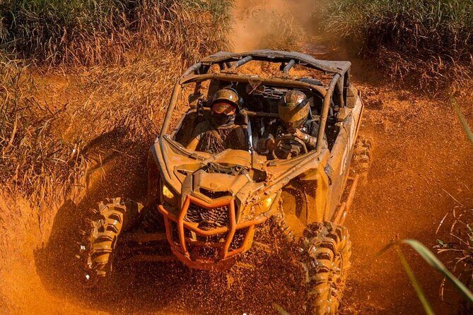 Bush Trails Excursion ATV/Buggy Tour - Key Points