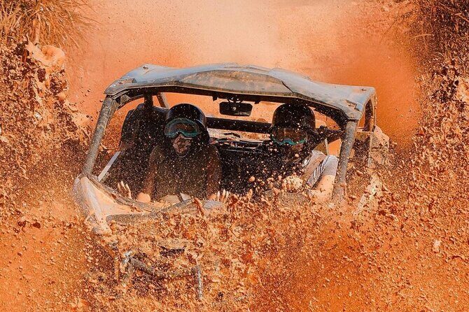 Bush Trails Excursion ATV/Buggy Tour - To sum it up