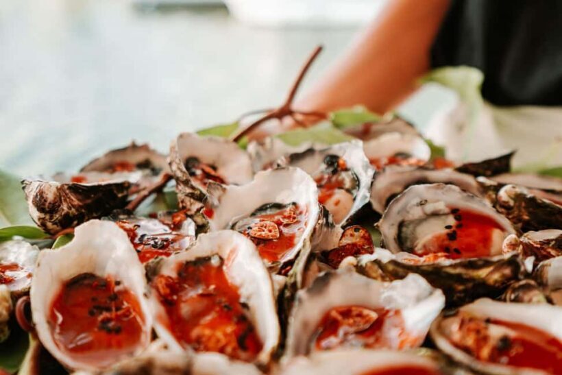 Bushtucker Cultural Cruise - Key Points