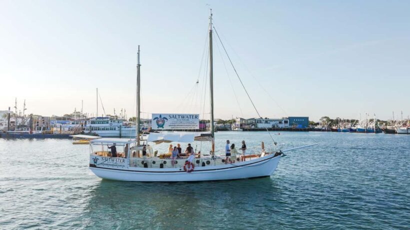Bushtucker Cultural Cruise - Final Thoughts: Is It Worth It?