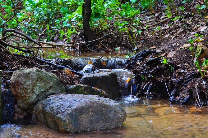 Buskett Woodlands and Dingli Cliffs Nature Walking Private Tour - Final Thoughts: Who Will Love This Tour?