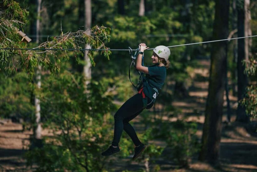 Busselton: Forest Adventure with Zip Lining and Rope Course - An Honest Look at the Forest Adventure Experience