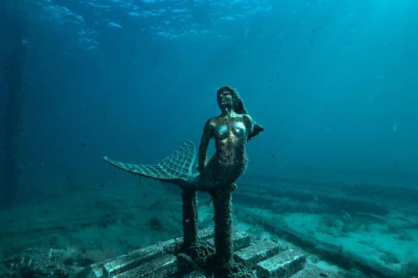 Busselton: Jetty Discover Scuba Diving Experience - An In-Depth Look at the Busselton Jetty Discover Scuba Tour