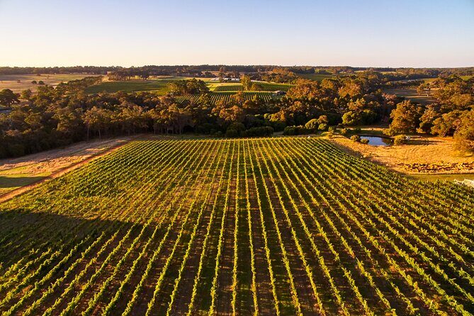 Busselton, Margaret River and Augusta 2-Day Tour from Perth - An In-Depth Look at the 2-Day Experience