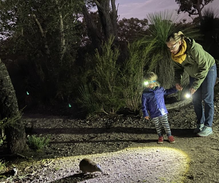 Busselton: Nocturnal Animal Tour - An Introduction to the Nocturnal Animal Tour