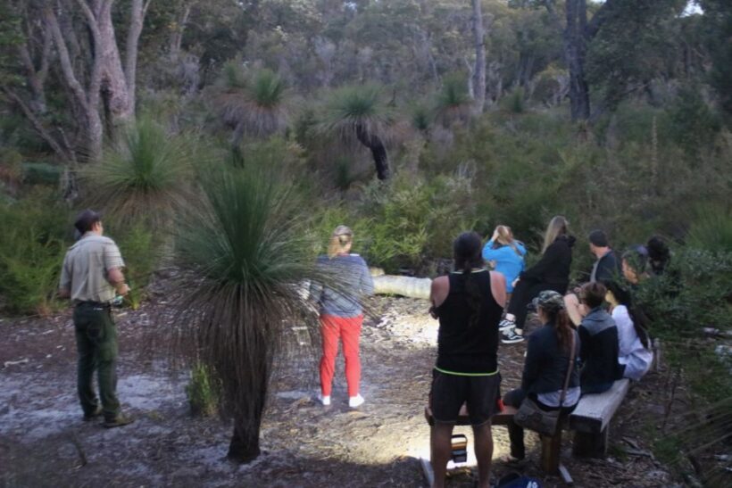 Busselton: Nocturnal Animal Tour - Authentic Encounters and Real Guest Experiences