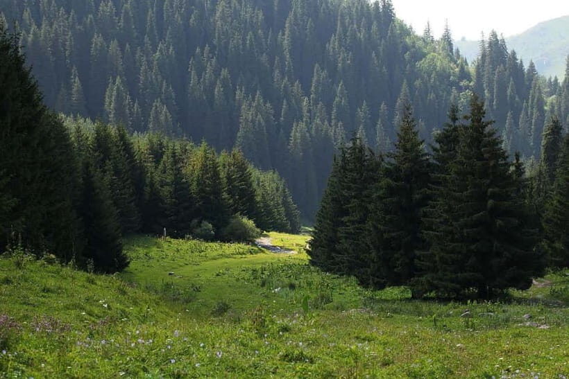 "Butakovka Waterfall" - a half day tour - Practical Considerations and Tips