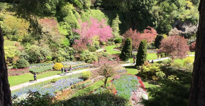 Butchart & Beyond: The Grand Victoria Tour - Key Points