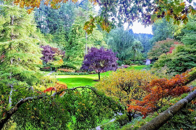 Butchart Gardens and City Highlights Private tour - Learning at Thunderbird Park
