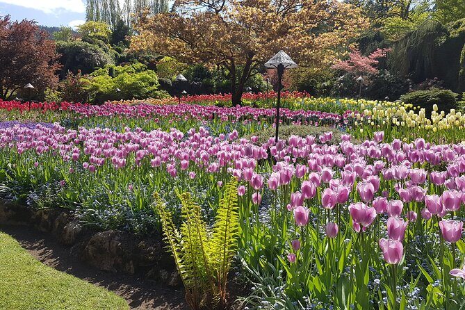 Butchart Gardens and City Highlights Private tour - Who Will Love This Tour?