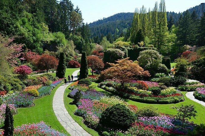 Butchart Gardens Evening Illumination Shuttle - Authentic Experience and Value