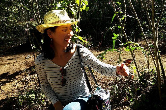 Butterfly Monarch Tour from Mexico City - Returning to Mexico City