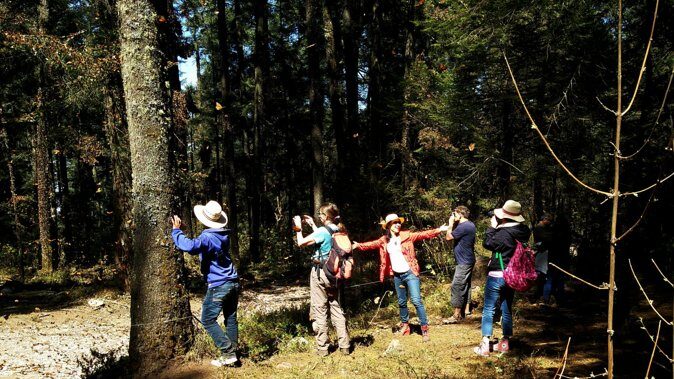 Butterfly Monarch Tour from Mexico City - Whats Not Included and Tips