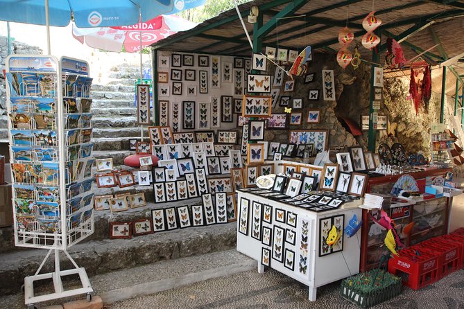 Butterfly Valley & Wine, Olive Oil, Honey Tasting Tour (Small Group) - Highlights of the Tour