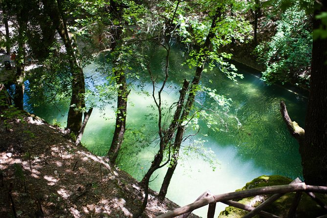 Butterfly Valley & Wine, Olive Oil, Honey Tasting Tour (Small Group) - Customer Reviews