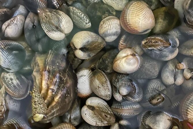 Buy, Cook & Taste-Gastronomic Tour North Portugal - Transportation, Timing, and Practical Details